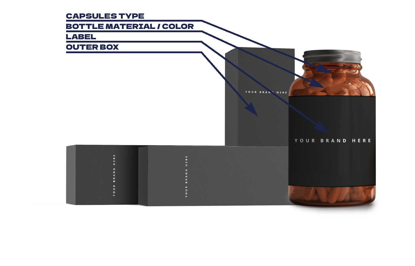 Landing Page - Symbio-lab